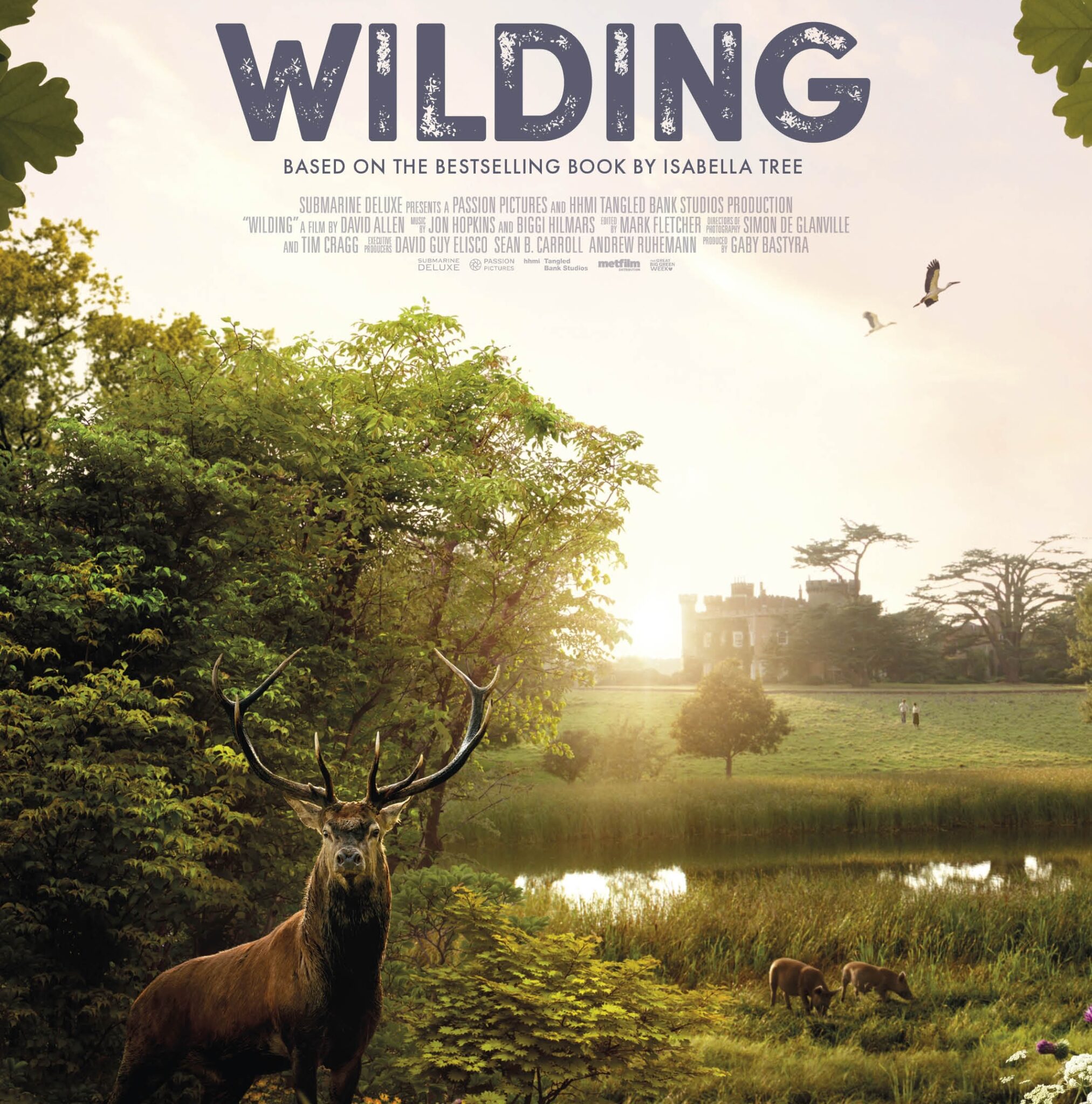 Wilding | Documentary - agriCULTURED