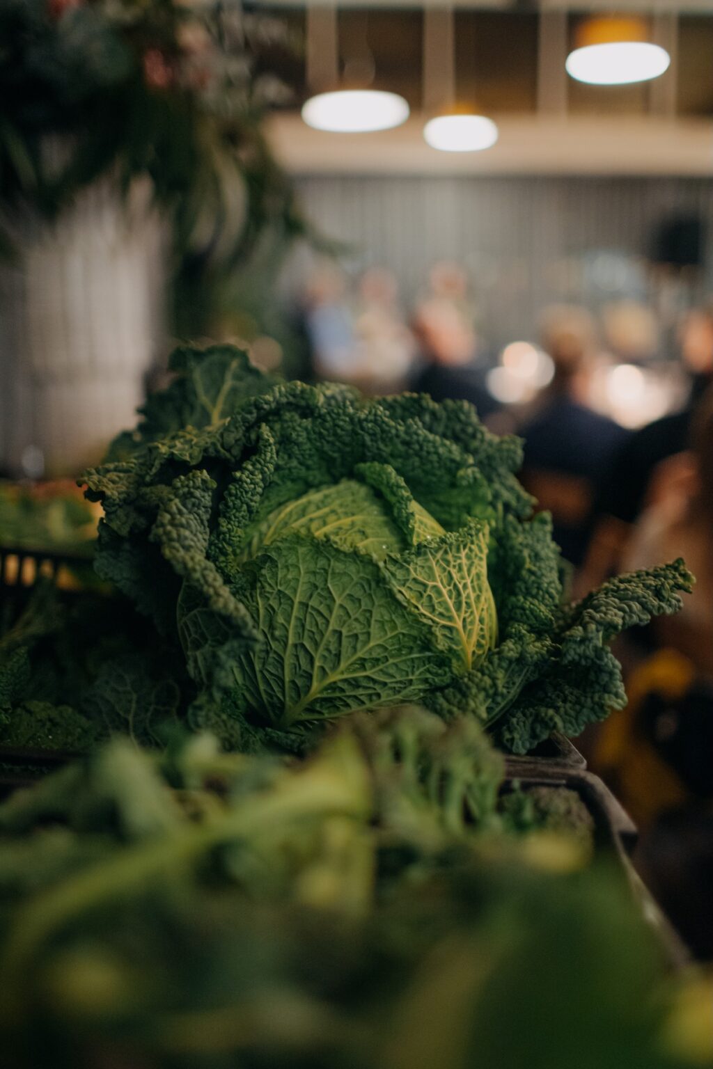 Good Food Workshops: Zero Waste Kitchen - agriCULTURED